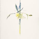 Organic construction | Museu Calouste Gulbenkian